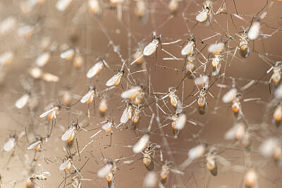 大学生写简历模板 - 职场密码-职场资讯